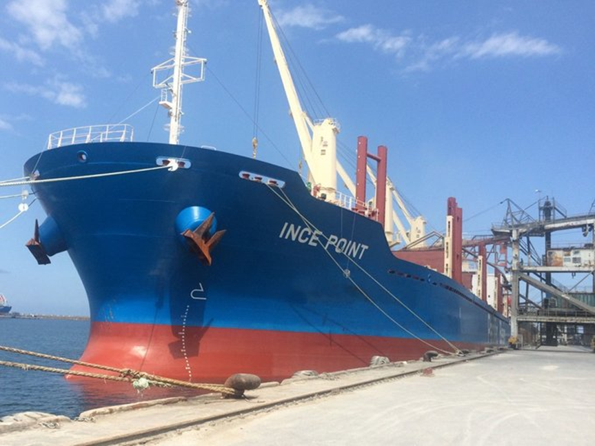 Decarbonization and Transformation of Shipping Industry