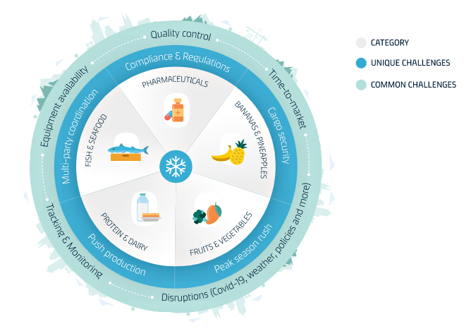 Comprehensive Guide to Reefer Transportation
